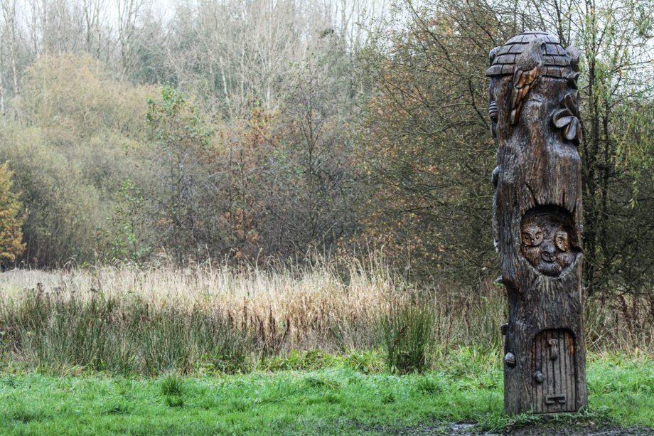 Low Hall and Victoria Fields | Carbon Landscapes